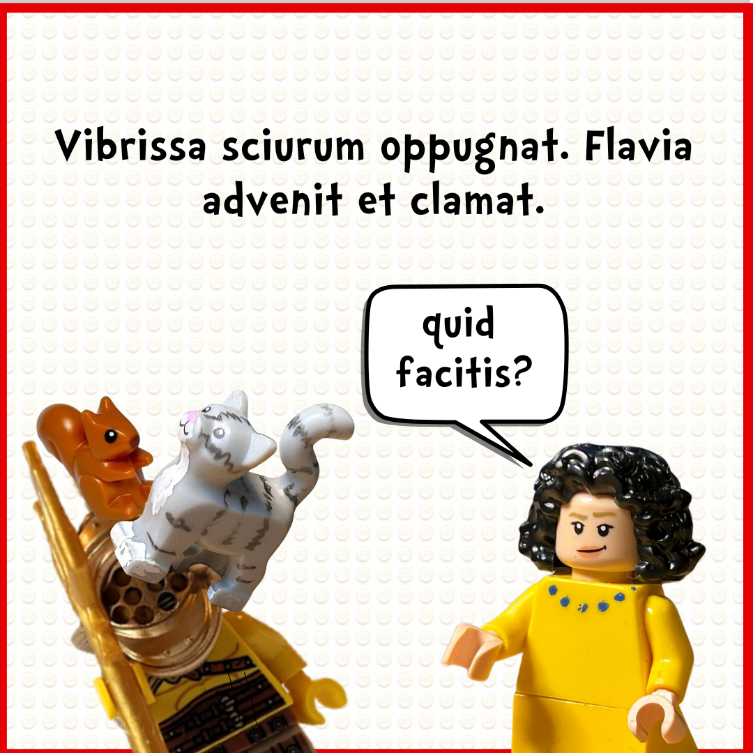 Lego and Latin - Minimus
